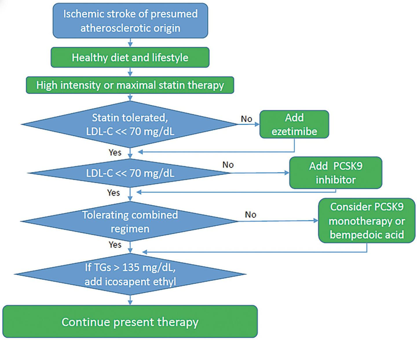 Lipid Management Algorithm