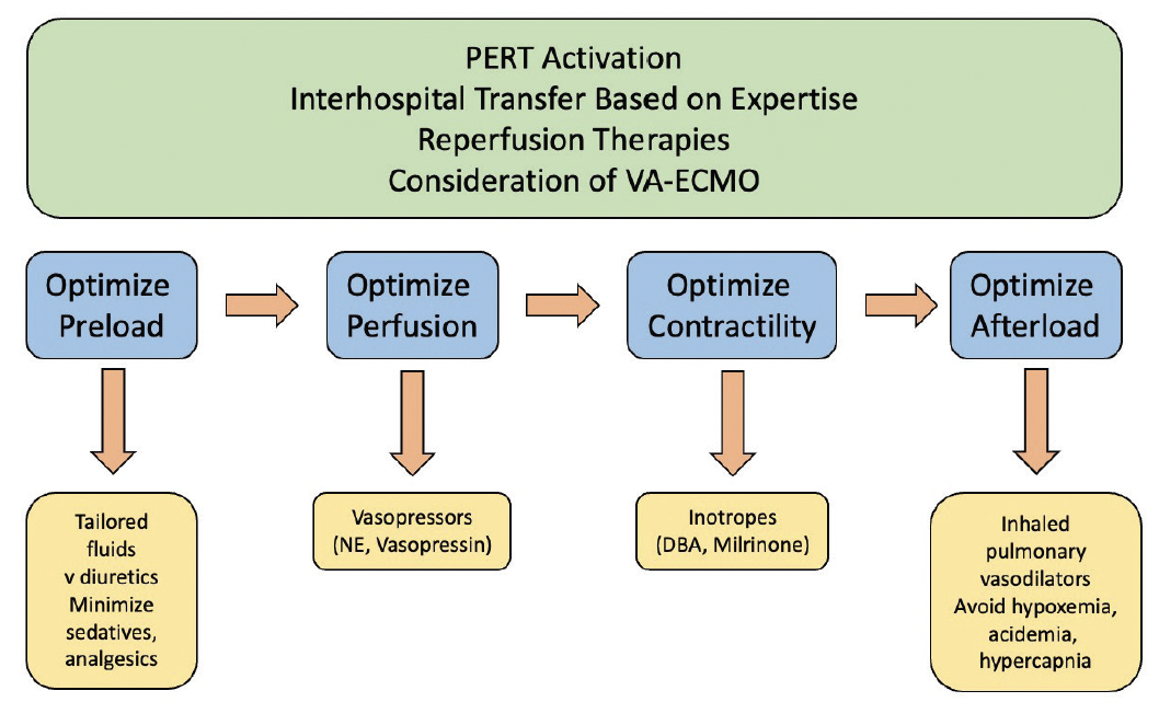 Intensive Care Management of the Patient With Hemodynamically ...