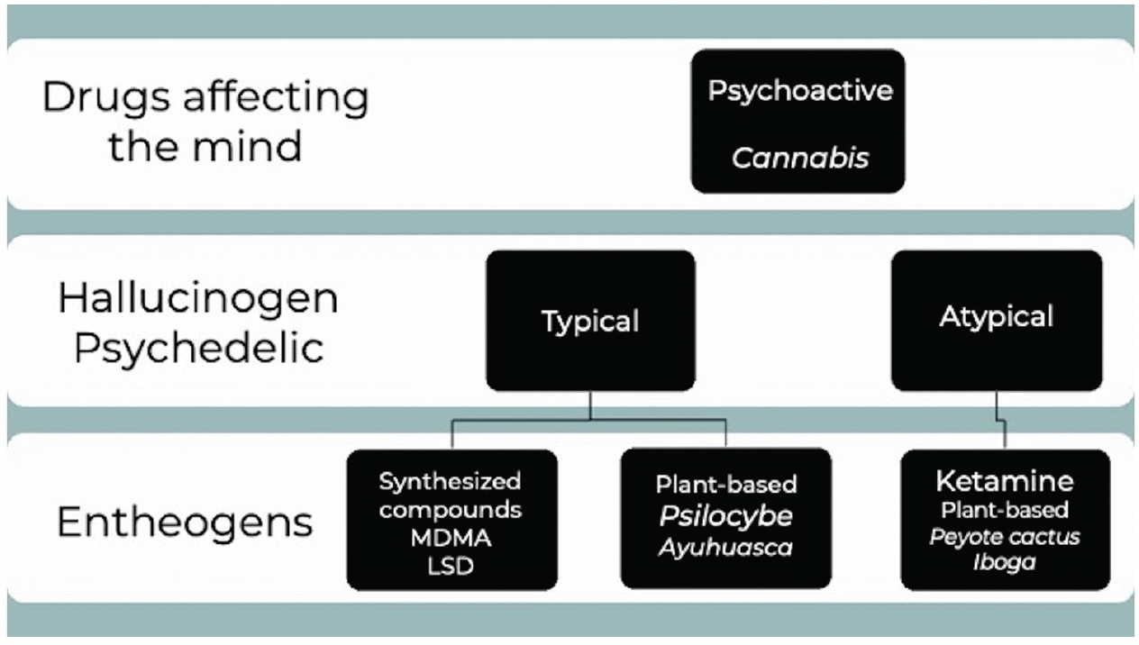 Cannabinoids and Psychedelics for Headache Management - Practical Neurology