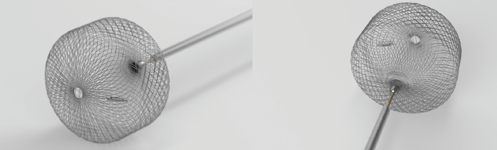 Tips and Pitfalls of New Endosaccular Aneurysm Technology ...