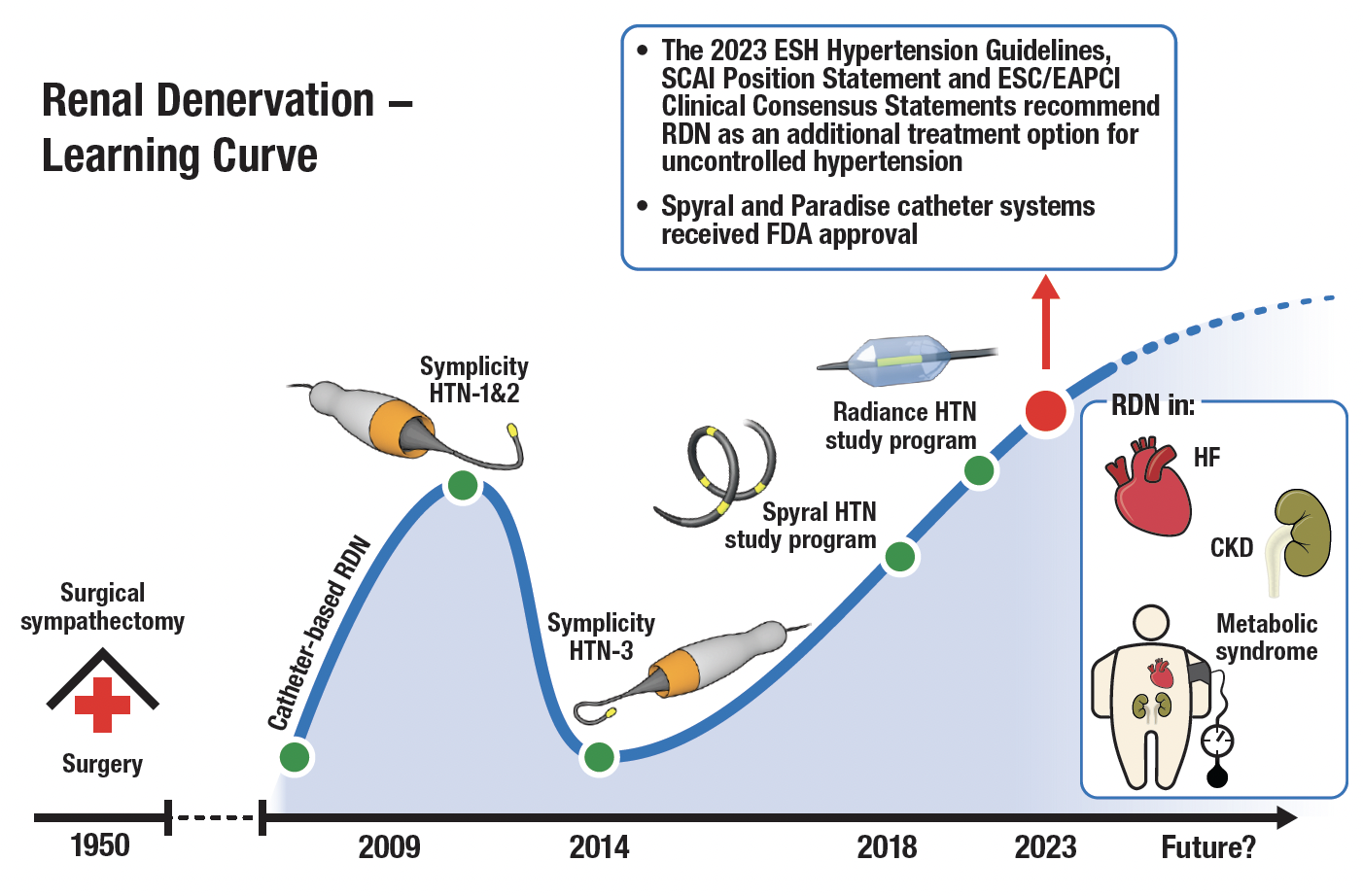 Ask The Experts: Lessons From the Renal Denervation Learning Curve ...