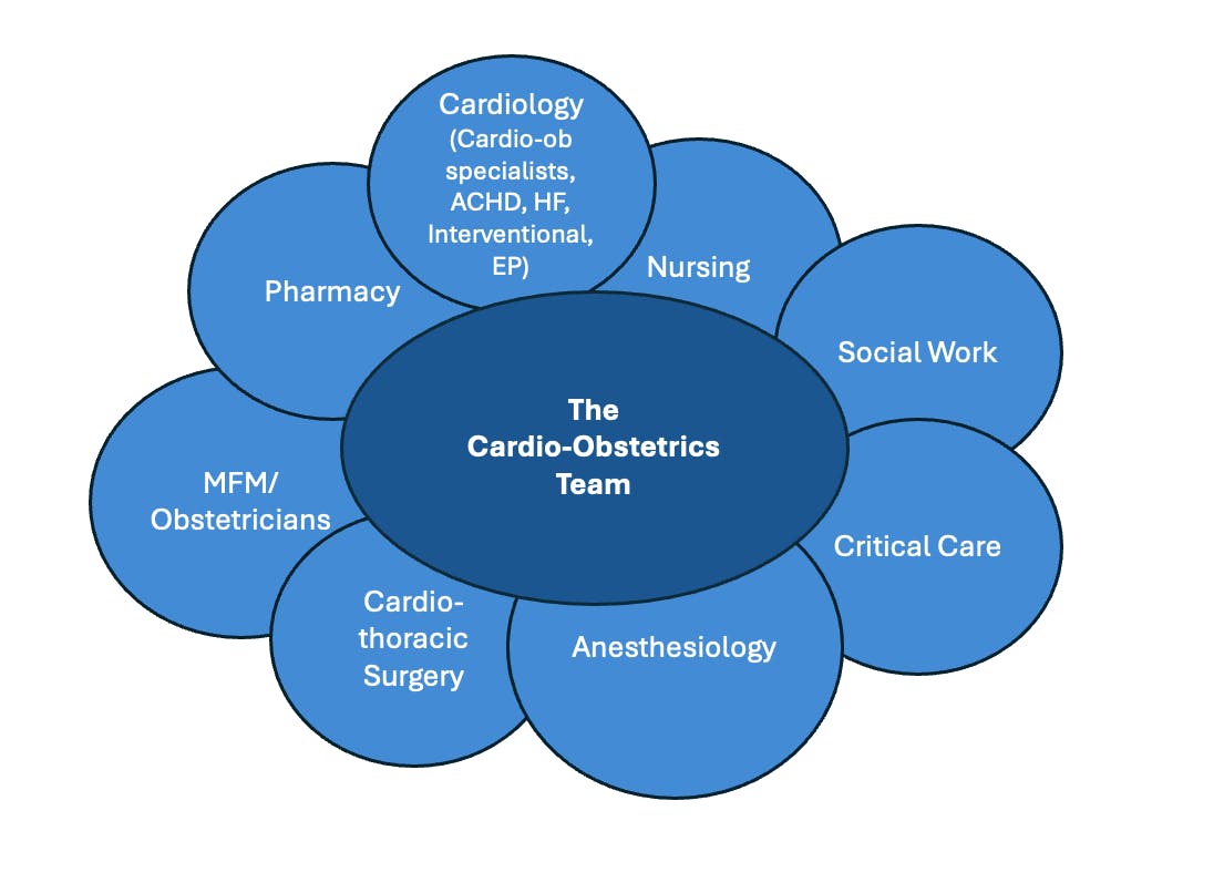 The Multidisciplinary Cardio-Obstetrics Team - Cardiac Interventions Today