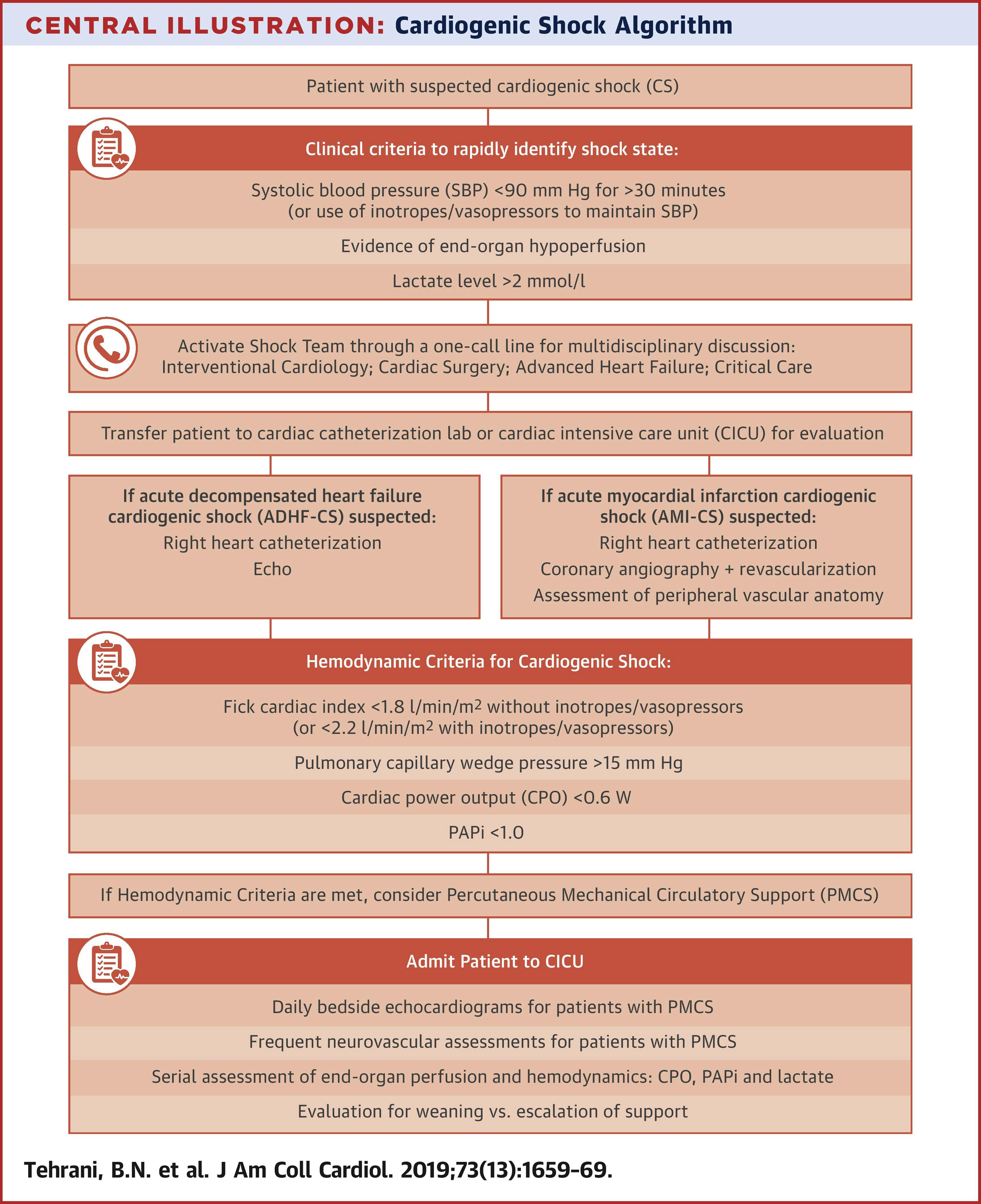 How to Build a Cardiogenic Shock Team - Cardiac Interventions Today