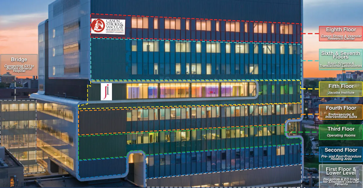 Building a Modern Neurovascular Center of Excellence: Experience at the ...