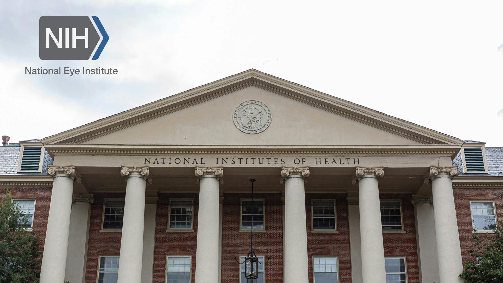 National Eye Institute Logo