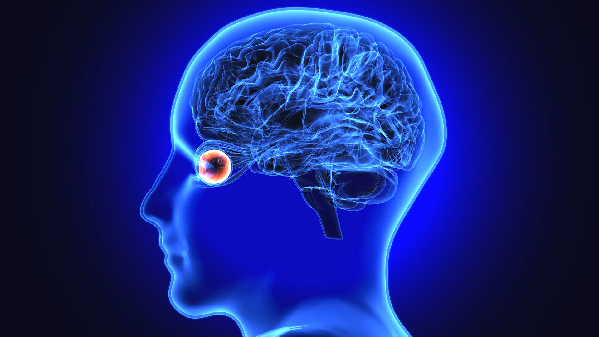 Recent Advancements in Optogenetics Leads to Unprecedented Progress in ...